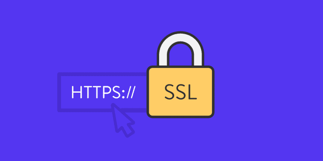 Siapa yang Menyediakan Sertifikat SSL? – Minimalis123